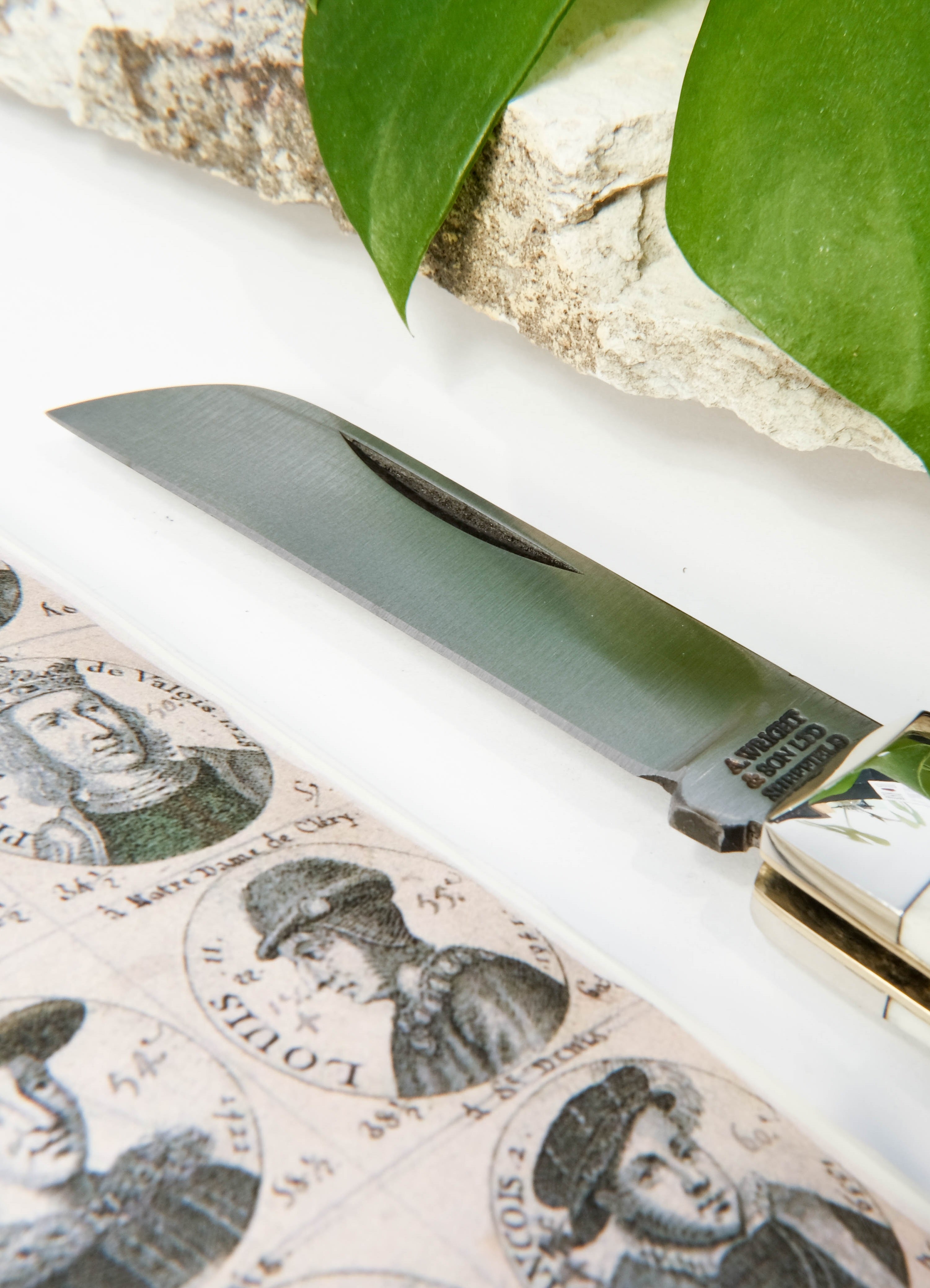 Pocket Knives Sydney, Traditional Folding Knives - Top Shelf Worldwide